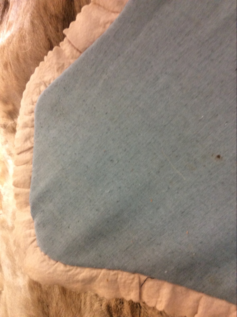 ELK HIDE **SEE DESCRIPTION** Acceptable | Buya