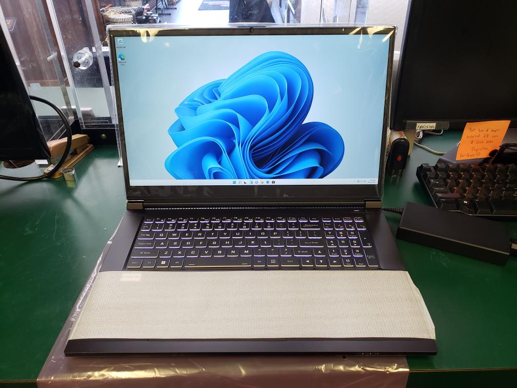 Sager Clevo NP70PNP Laptop (i7, 16GB, 500GB NVMe, RTX 3060, Win 11 ...