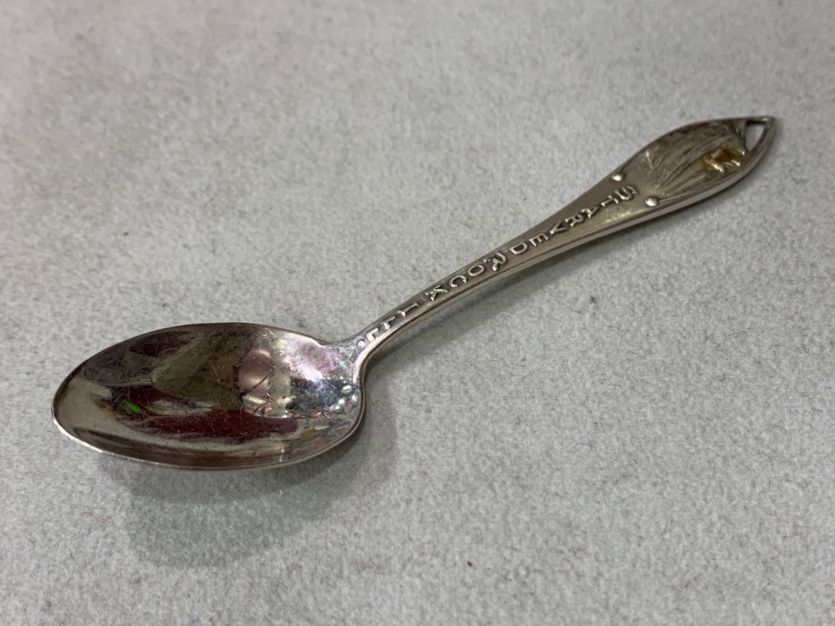'Starved Rock Illinois' Sterling Silver Spoon Very Good | Carson ...