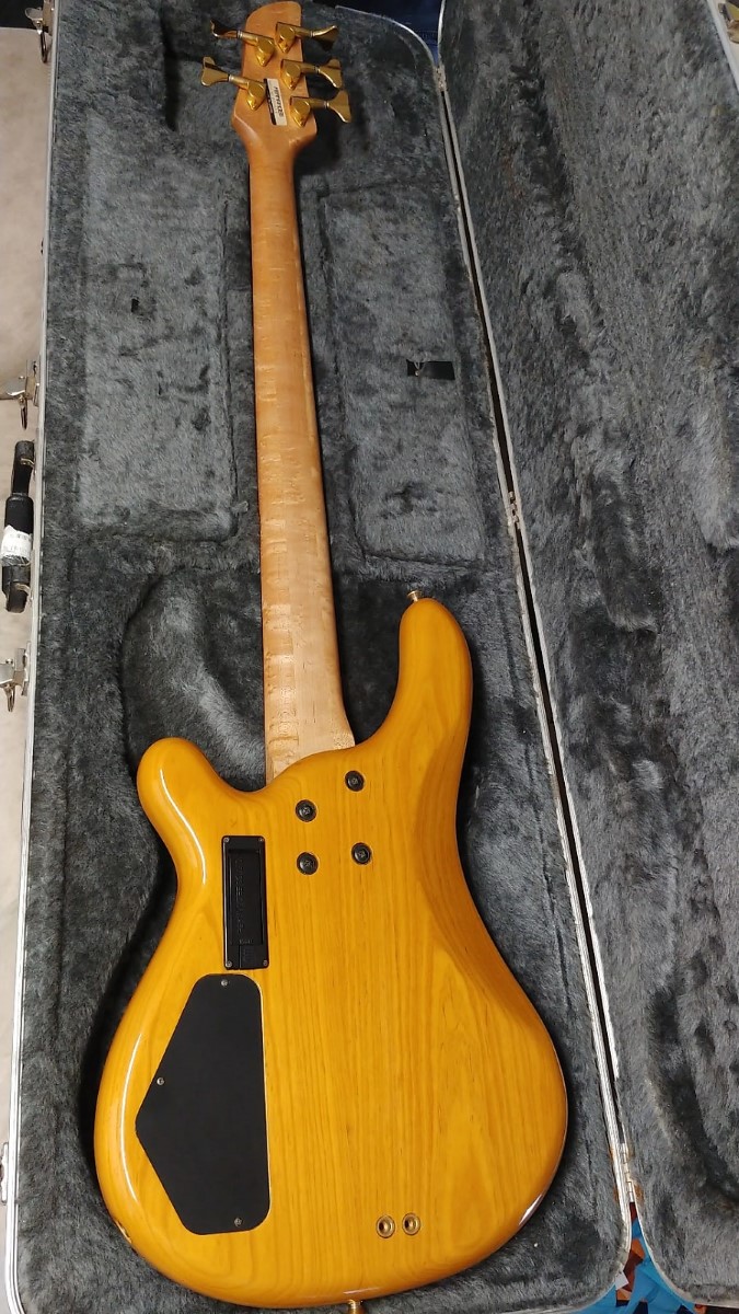 Fernandes APB-100 1996 Natural 5 String Fretless Bass Very Good | Buya