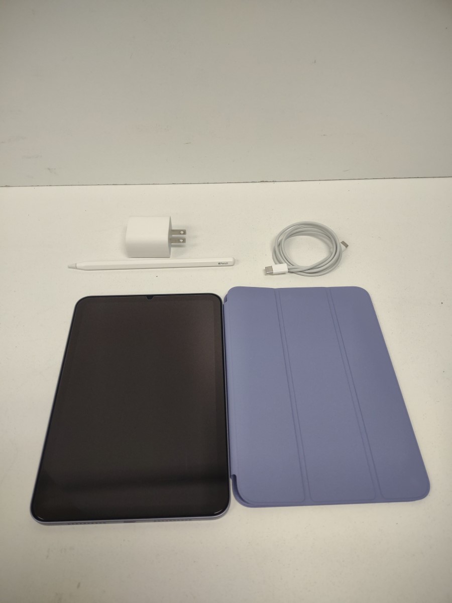 APPLE IPAD MINI A2567 6th Gen - Complete - 256GB - With Case, Charger ...