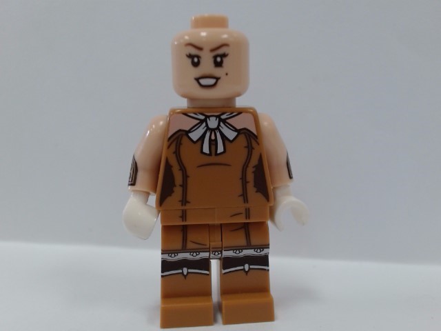 LEGO MINIFIG BATMAN MARCH HARRIET Like New | Buya