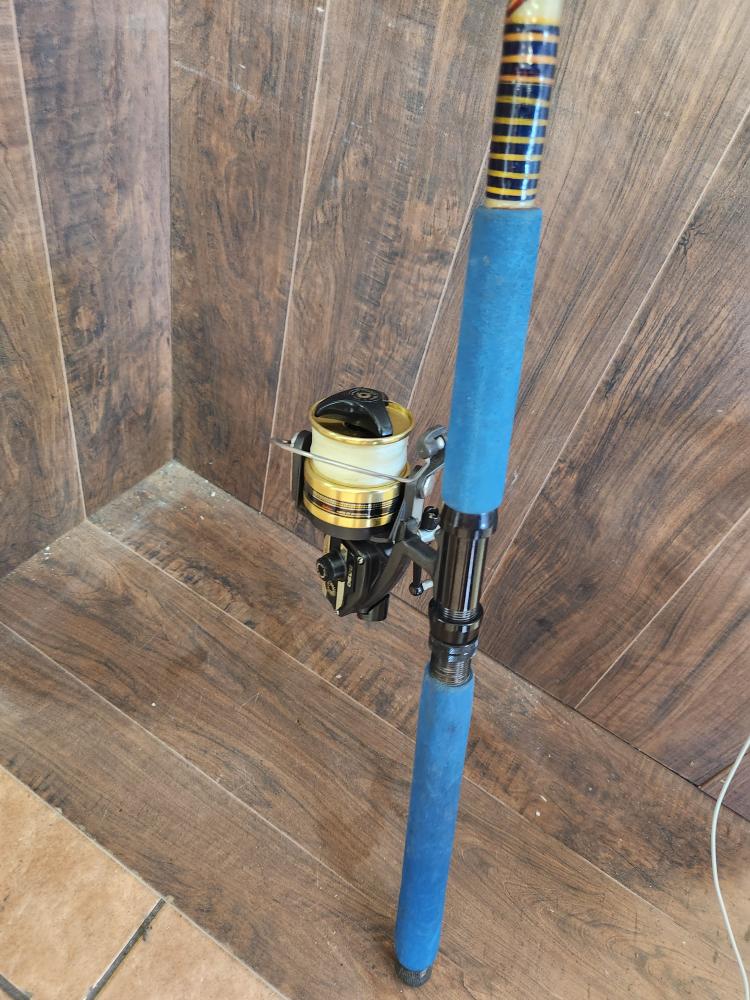 DAIWA BG90 SPINNING ROD/REEL COMBO *INSTORE PICKUP ONLY* Acceptable | Buya