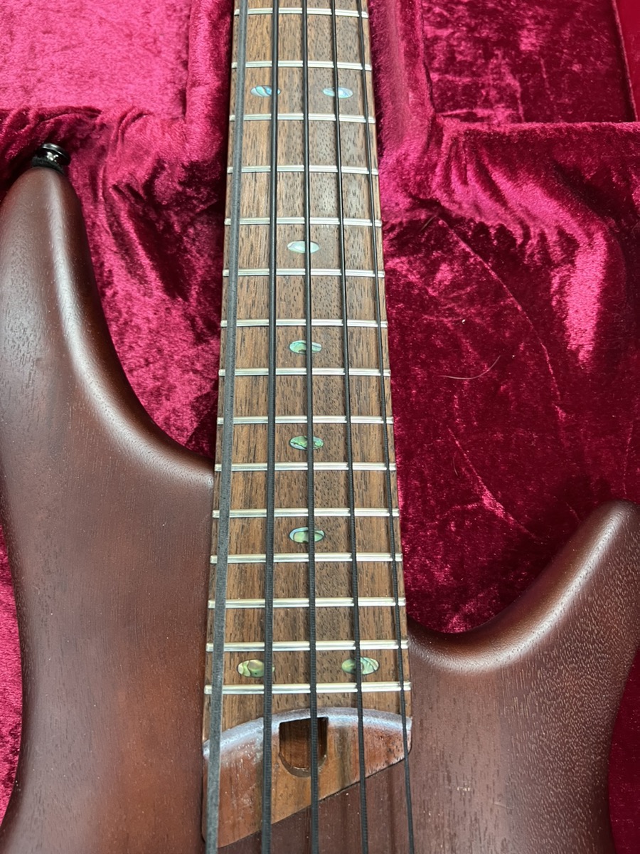 Ibanez SR505E 5 STRING Bass Guitar - Brown Mahogany W/ GATOR HARD CASE ...