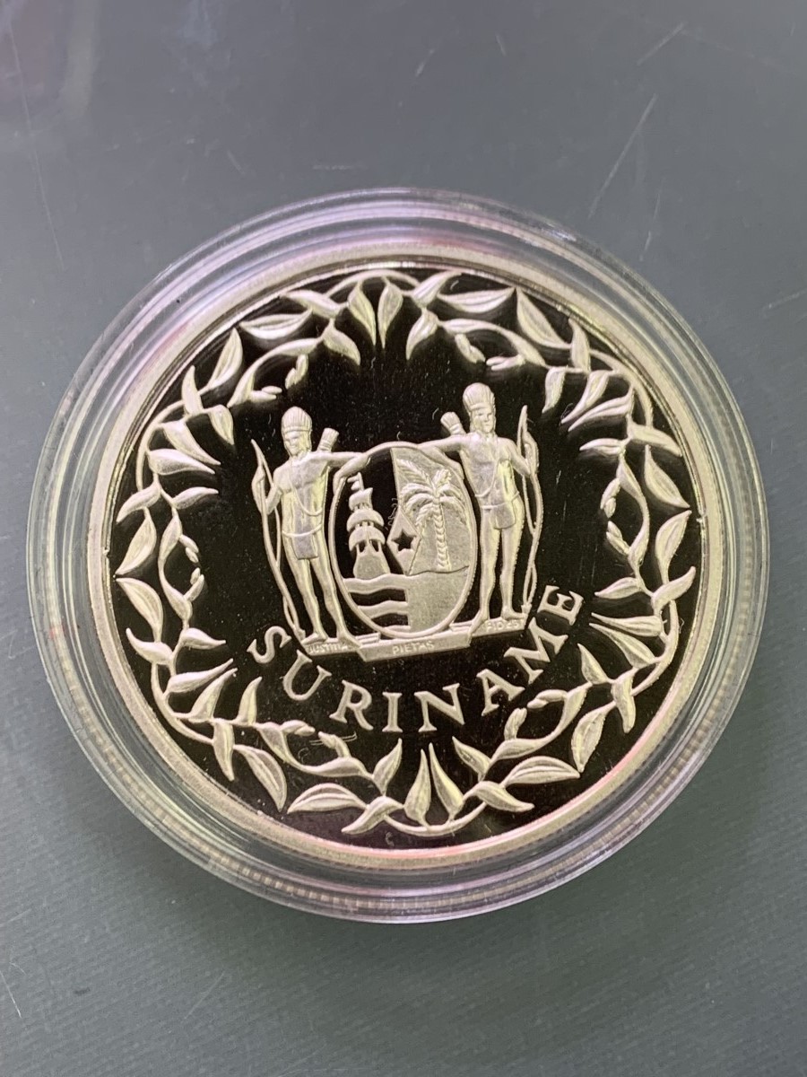 1991 SURINAME 25 GUILDERS SAVE THE CHILDREN SILVER PROOF Brand New | Buya