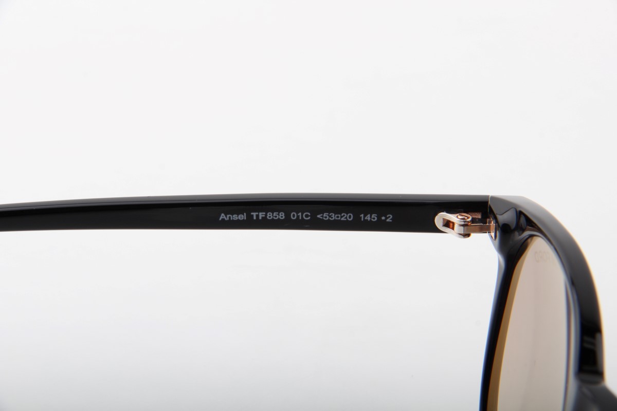 Tom Ford Ansel Sunglasses Brand New | Buya