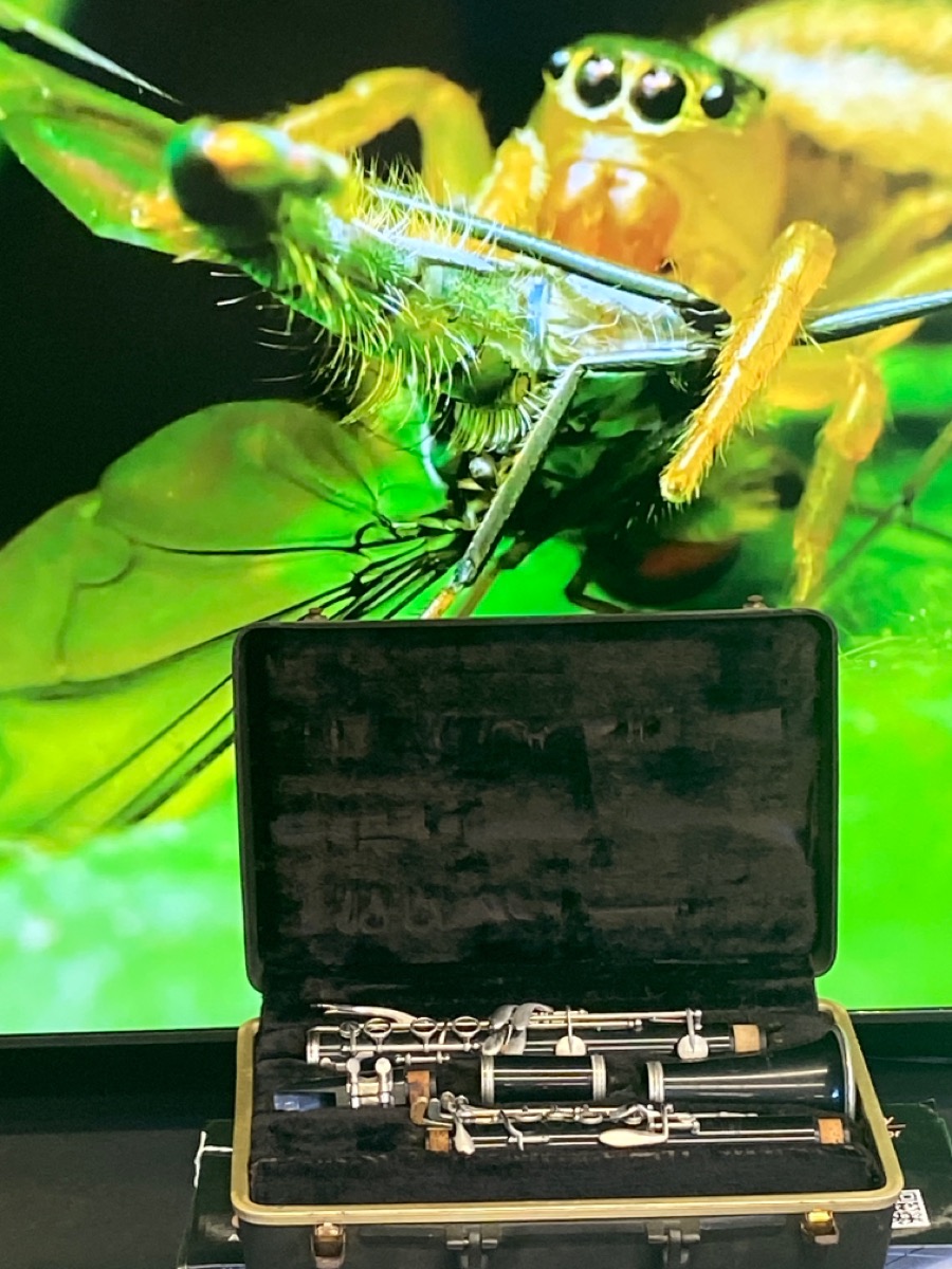 BUNDY CLARINET Like New | Buya