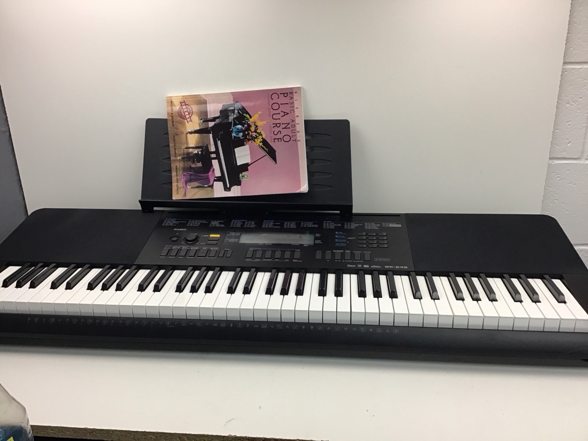 CASIO WK-245 WITH STAND & POWER CORD Like New | Buya